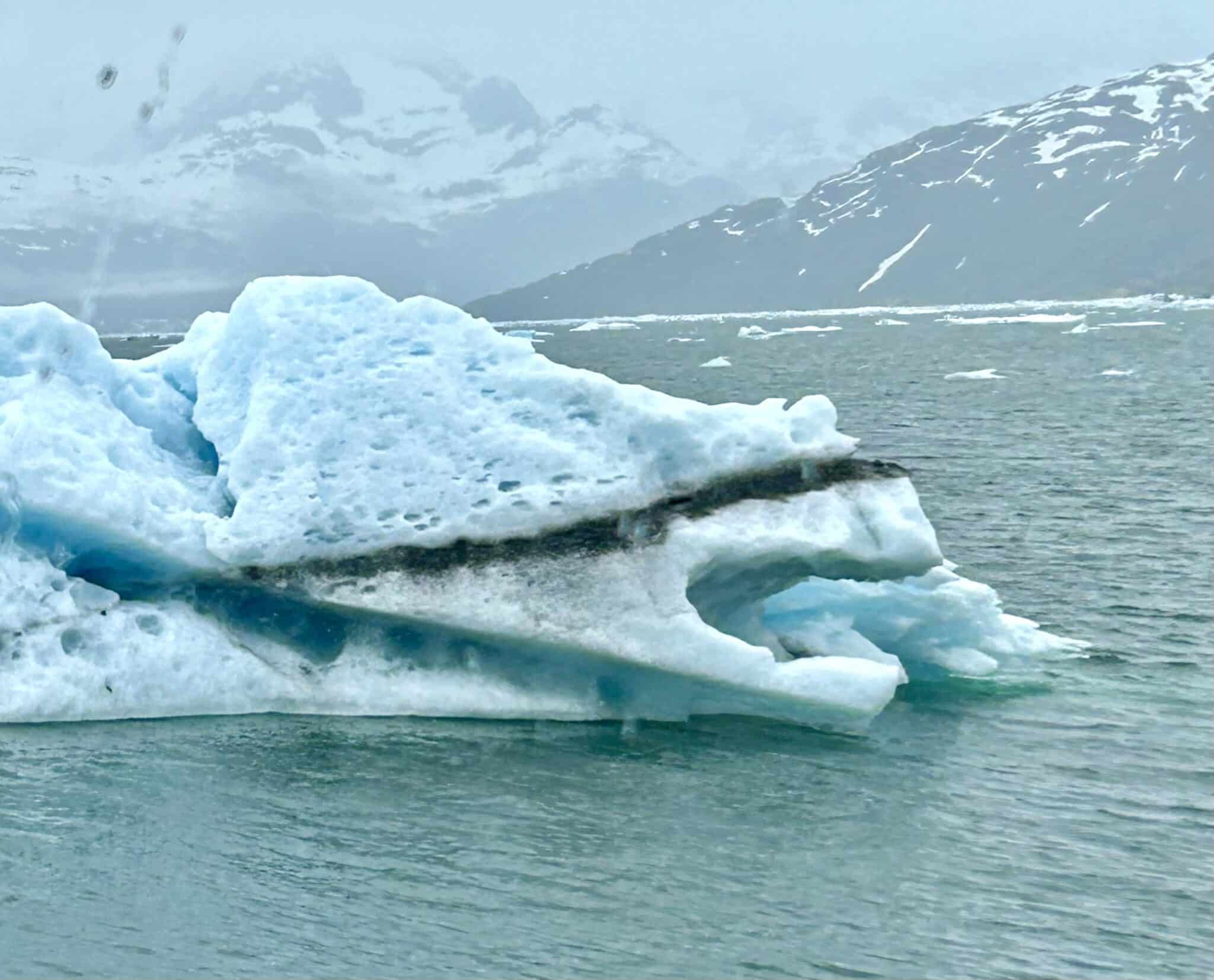 Captain's Logbook | Stan Stephens Cruises